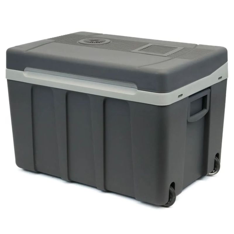 50L Portable Thermoelectric Cooler & Warmer Box